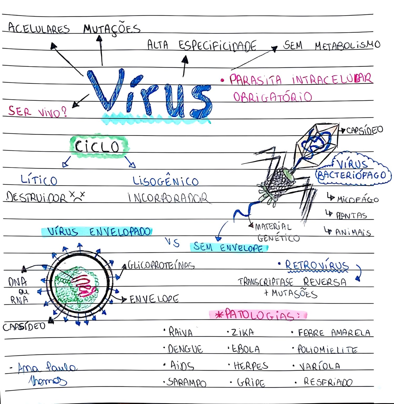 MAPA MENTAL SOBRE VÍRUS - Maps4Study