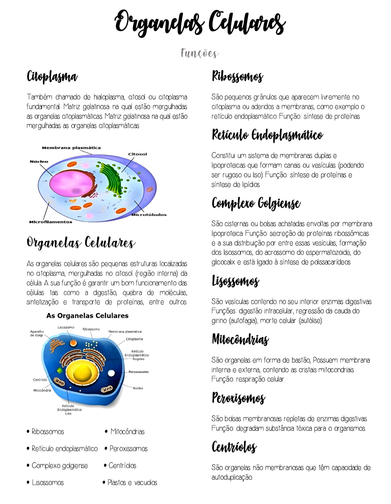 MAPA MENTAL SOBRE ORGANELAS CELULARES/CITOPLASMÁTICAS - Maps4Study