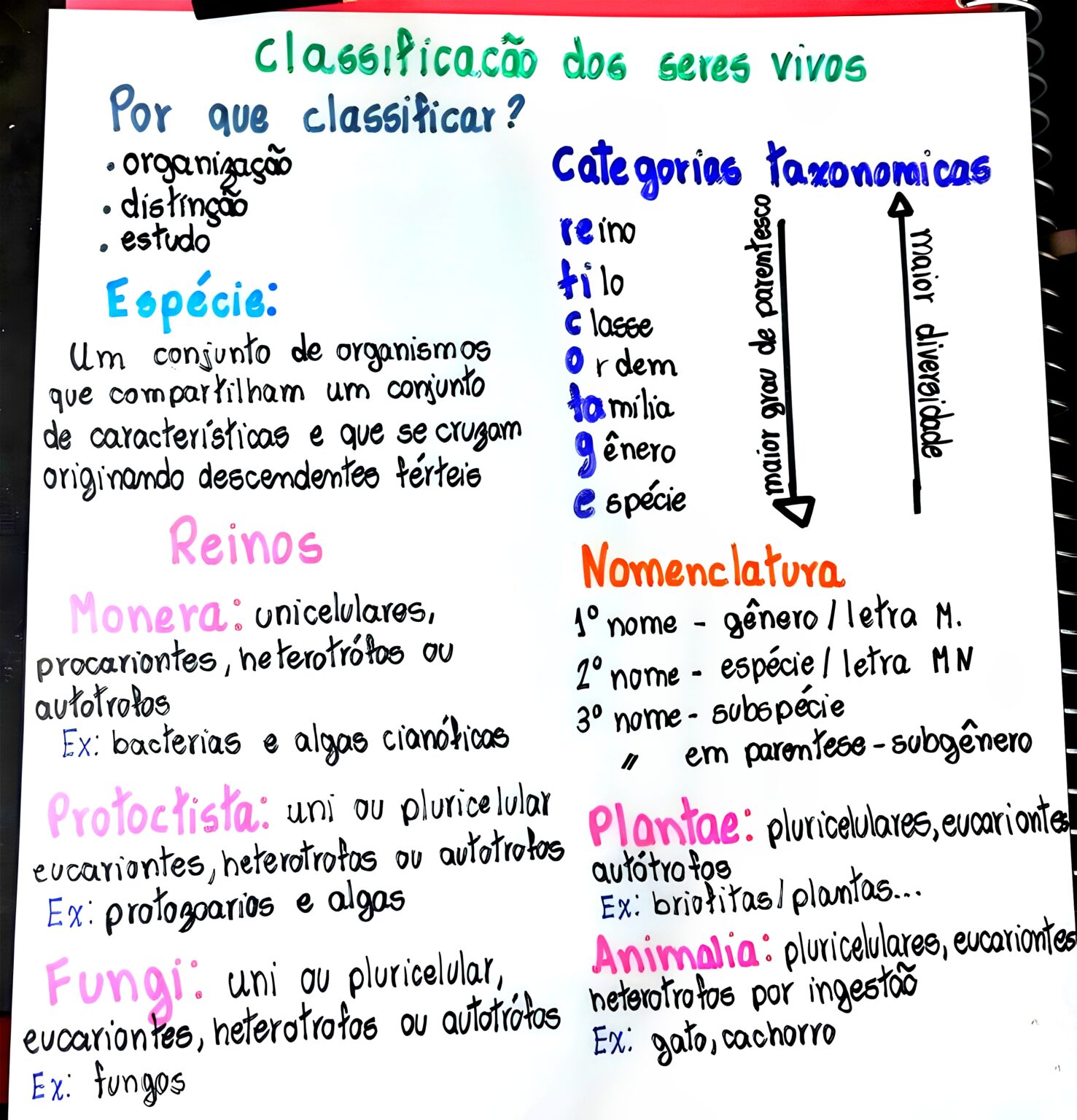 MAPA MENTAL SOBRE CLASSIFICAÇÃO DOS SERES VIVOS - Maps4Study