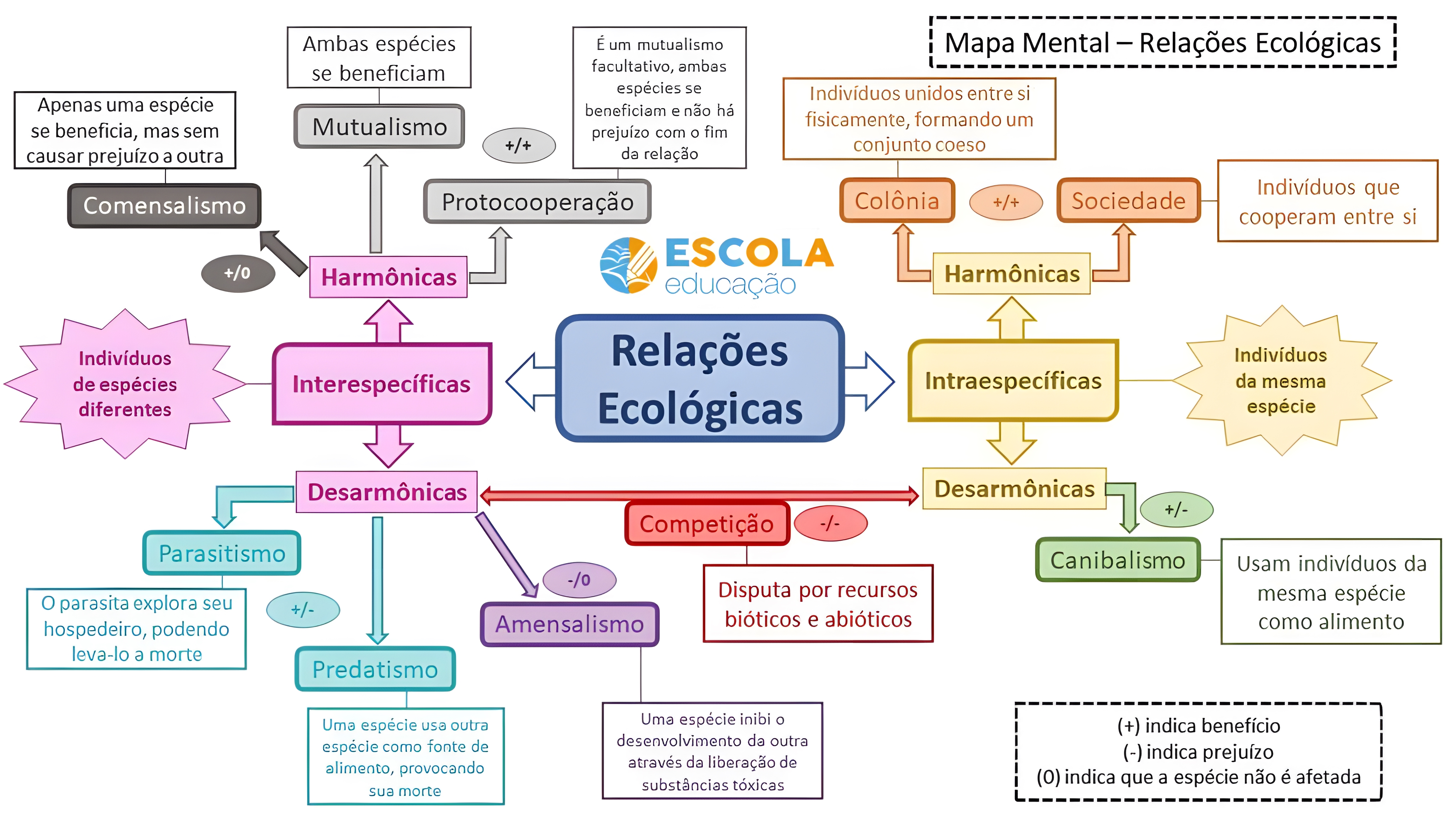 Mapa Mental Sobre Relações Ecológicas Maps4study