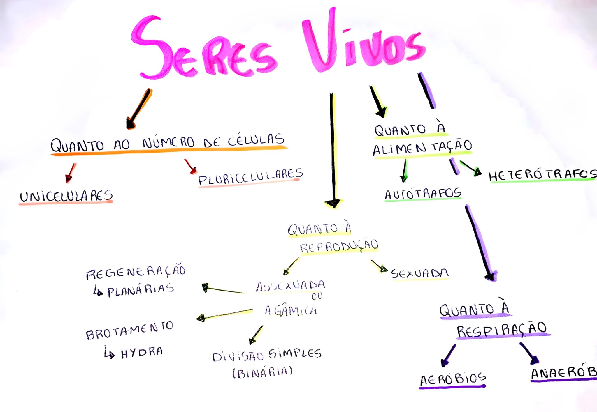 MAPA MENTAL SOBRE CARACTERÍSTICAS DOS SERES VIVOS - Maps4Study