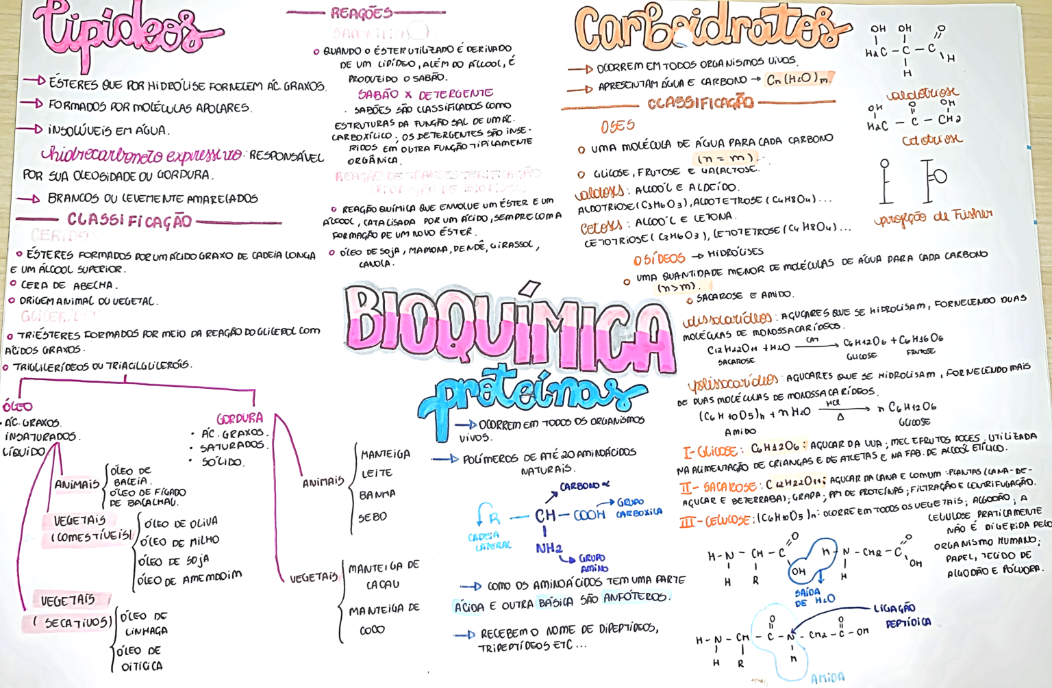 MAPA MENTAL SOBRE BIOQUÍMICA - Maps4Study