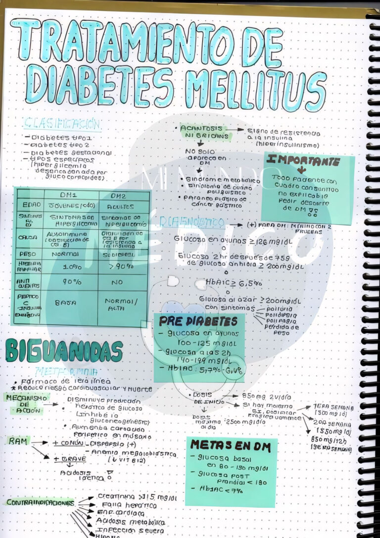 MAPA MENTAL SOBRE DIABETES - Maps4Study