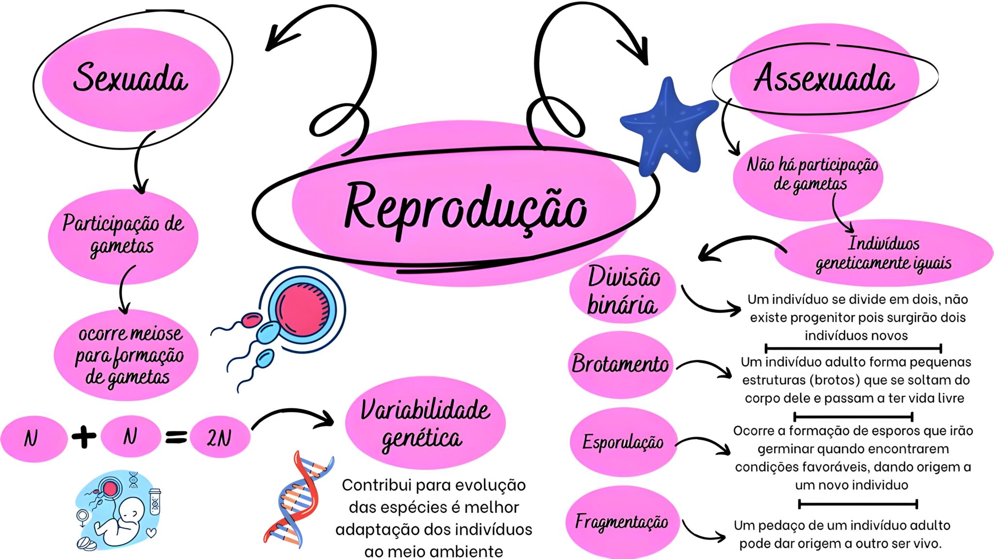 MAPA MENTAL SOBRE REPRODUÇÃO - Maps4Study