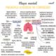 MAPA MENTAL SOBRE PNEUMONIA - Maps4Study